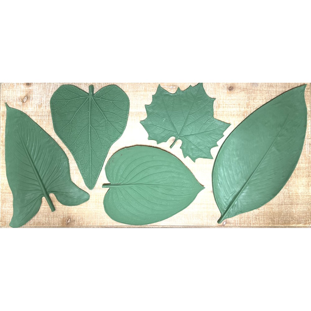 Large Leaf Assortment Set #2