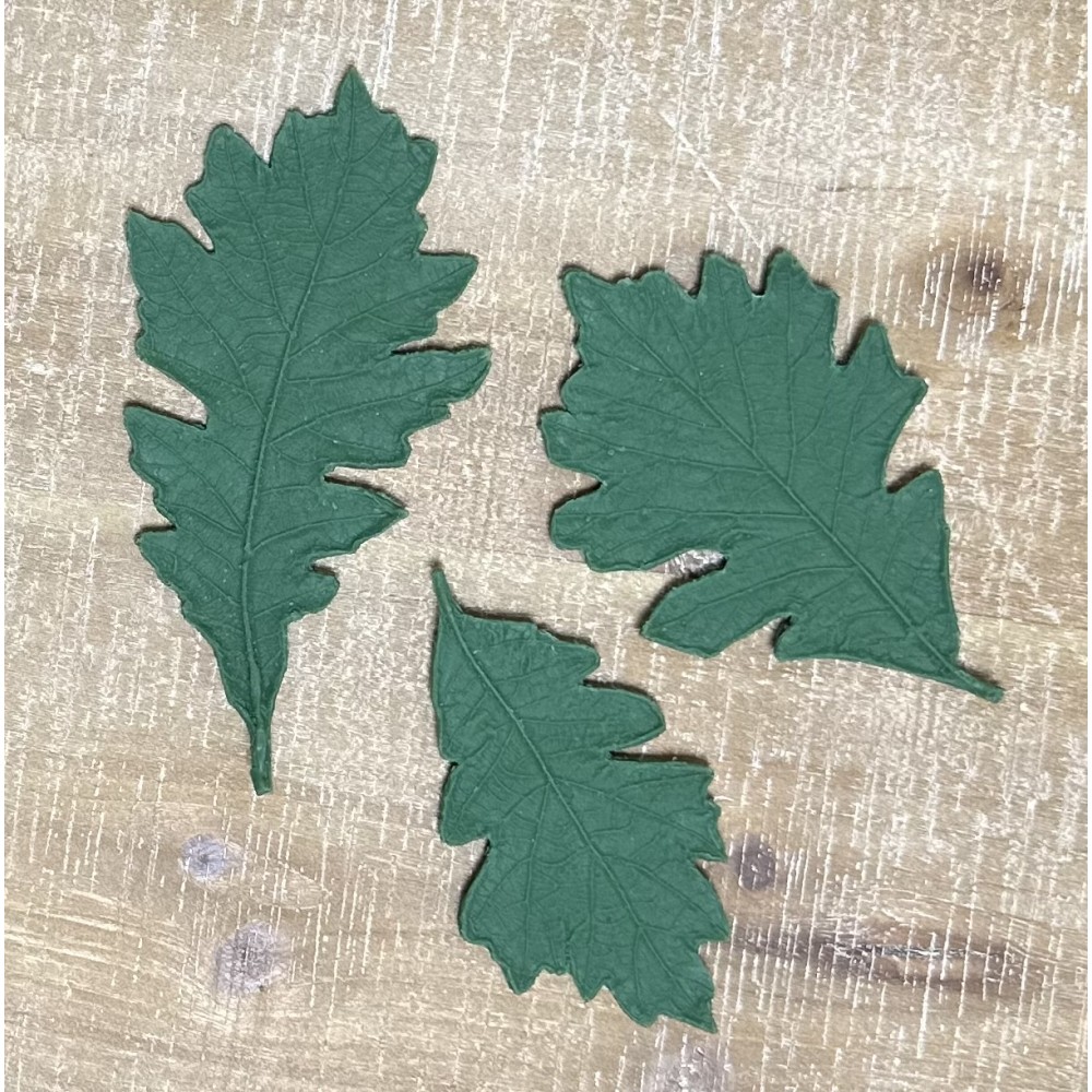 Small Oak Leaves