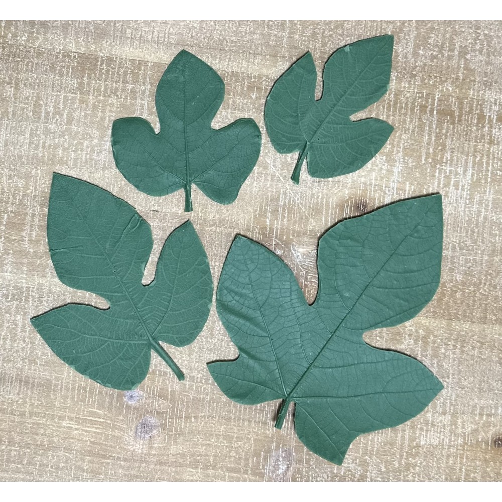 Small Fig Rubber Leaf Forms