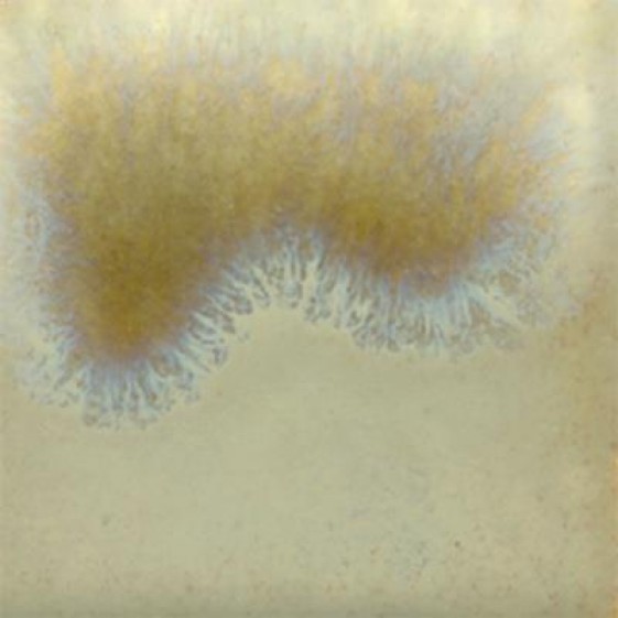 PC-601 Clear (pint) Pottery Cascade Ceramic Glaze by Mayco Colors