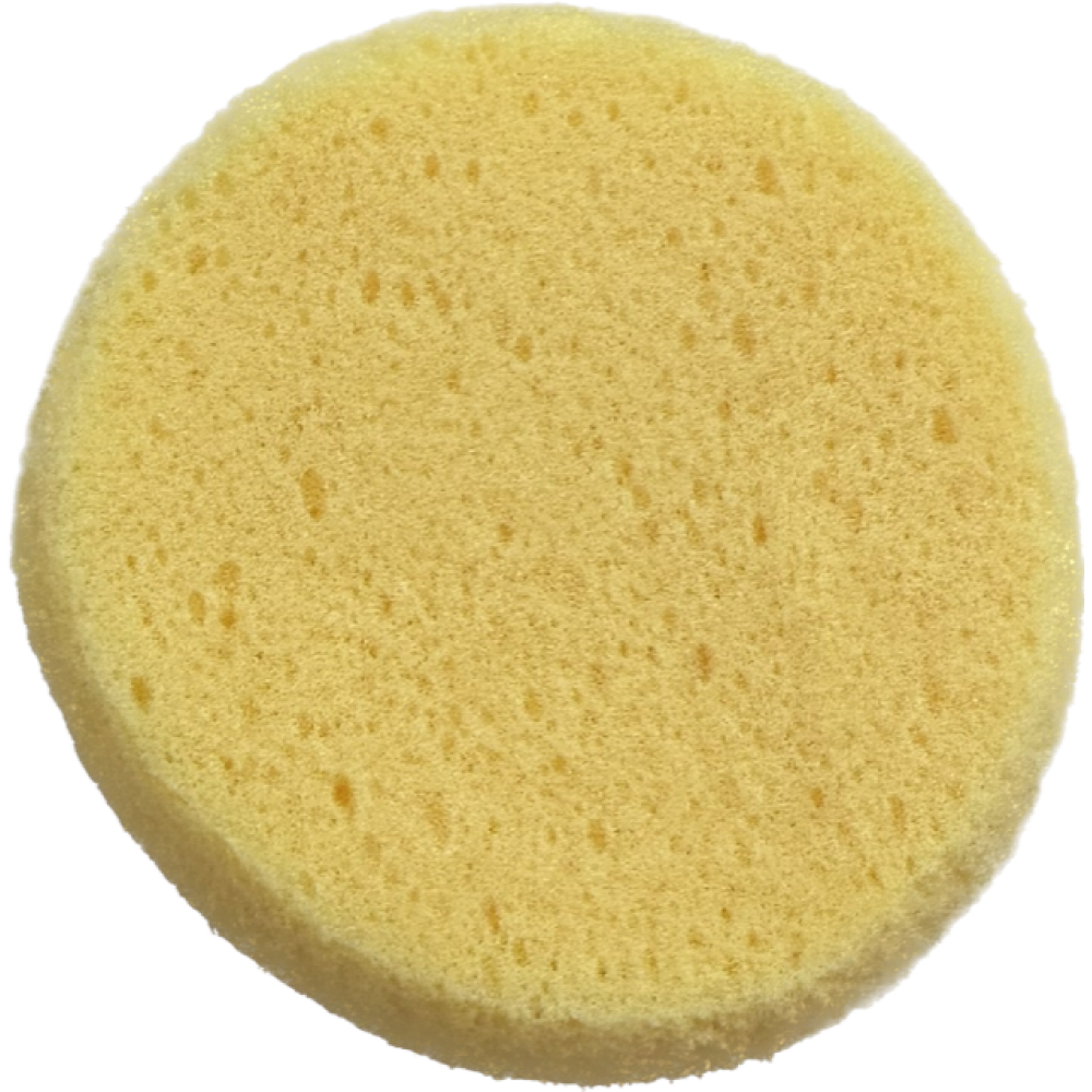 Large Synthetic Sponge - 12-pack