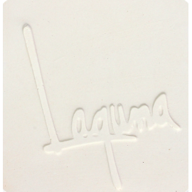 Laguna Clay & Mackie Casting Slip