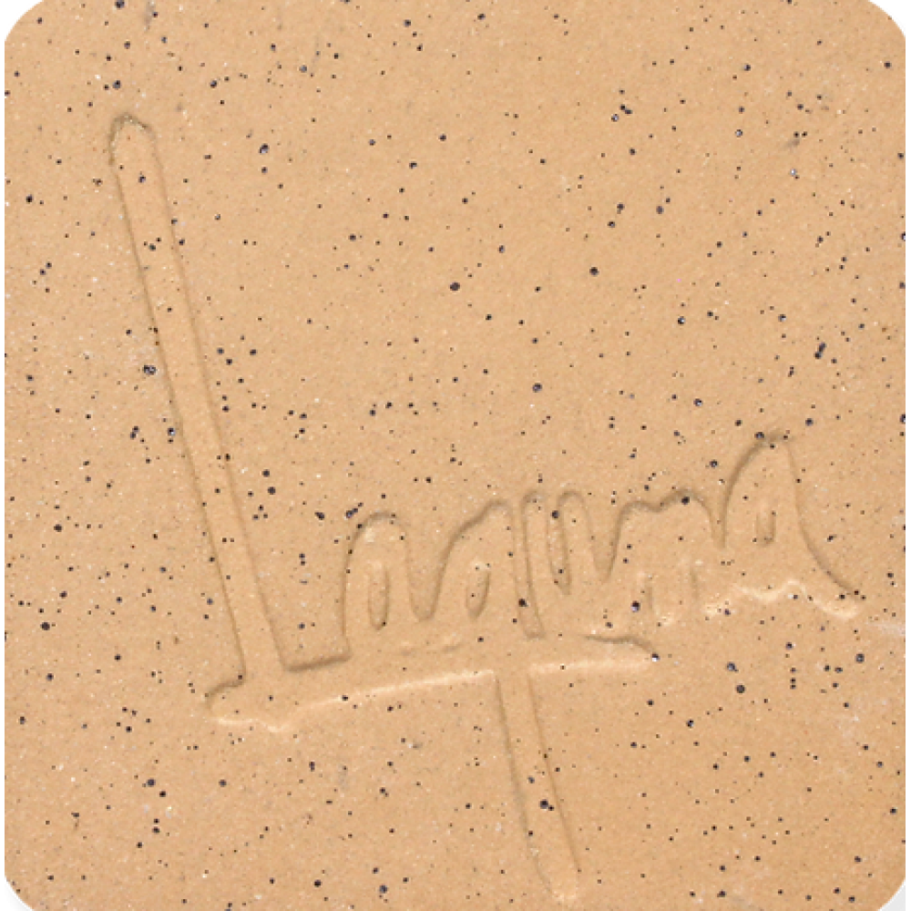 Speckled Buff cone 5 mid range clay - 50 lbs
